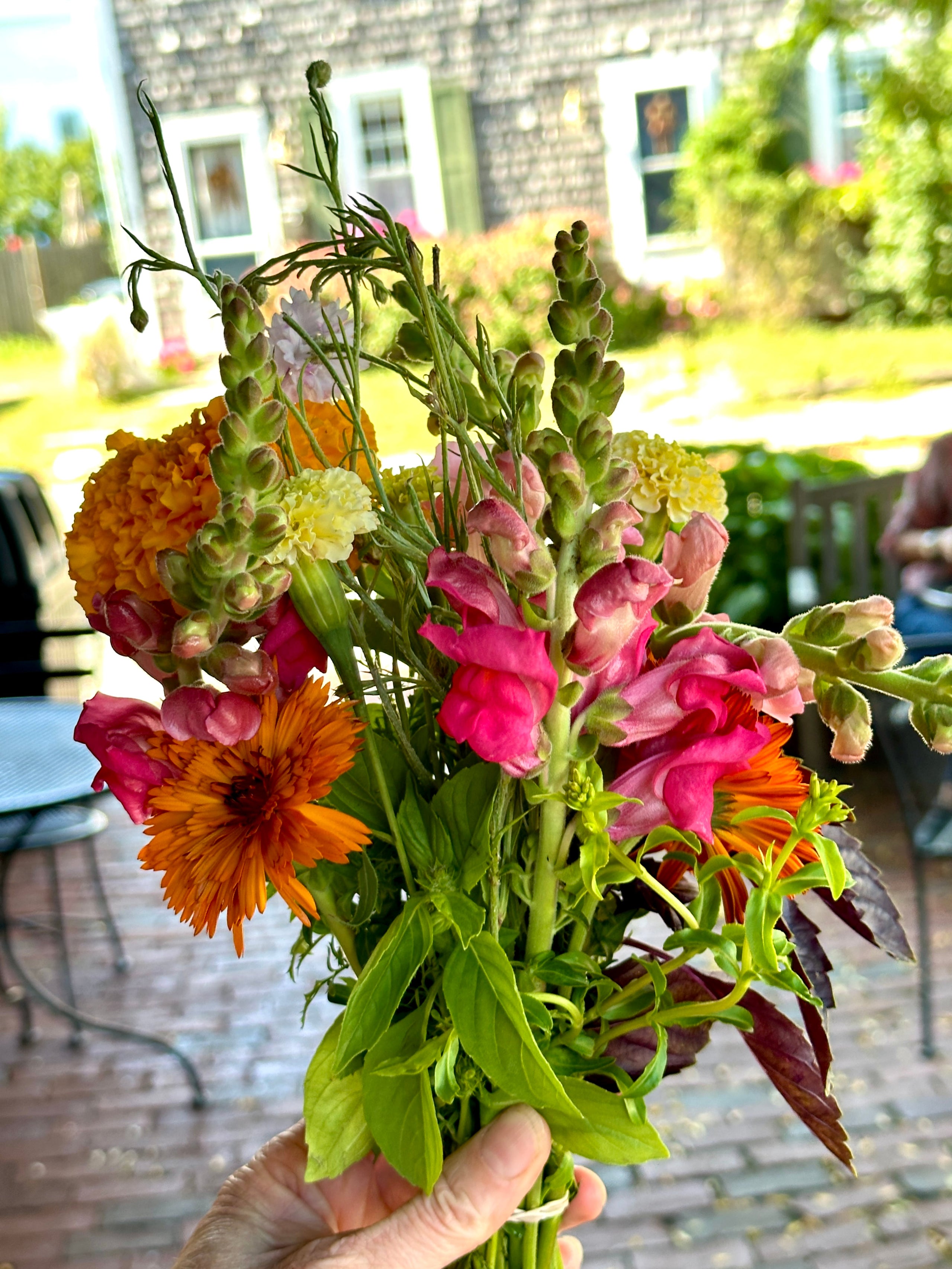 WILDLY ROOTED HERB+EDIBLE FLOWER BUNDLES | Joppa Fine Foods